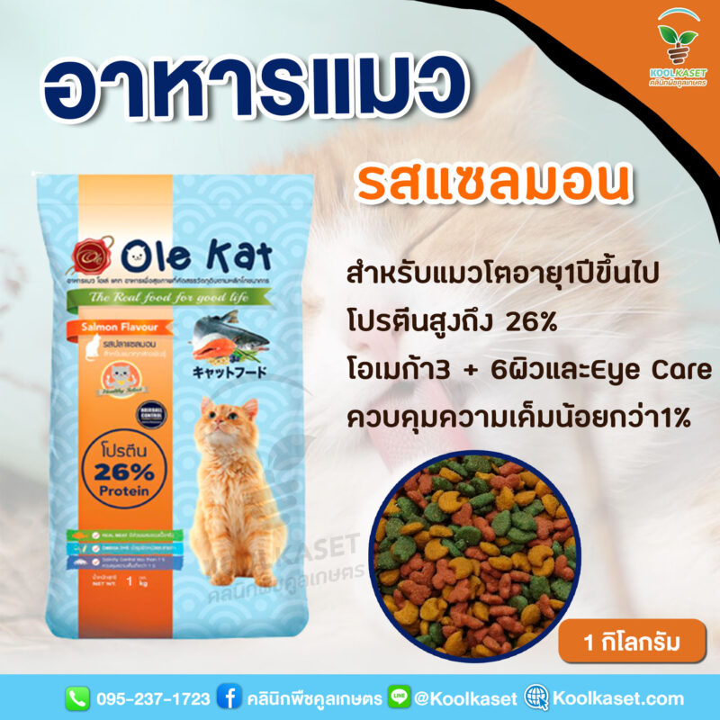 อาหารแมว Ole Kat โอเล่แคท 5 กิโลกรัม รสซีฟู้ด รสทูน่า รสแซลมอน คลินิก ...